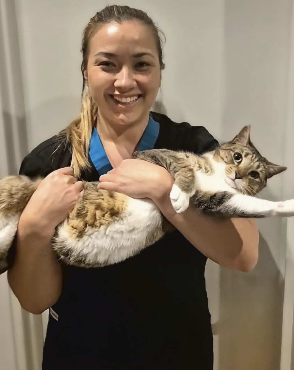 About - The Furry Family